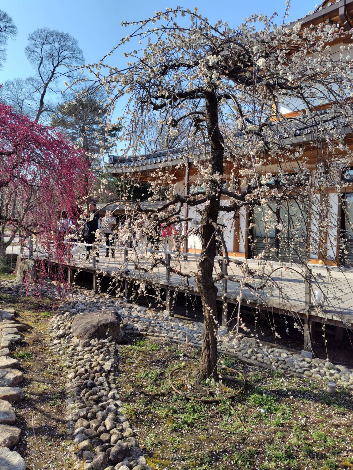 The Ultimate Guide to Fushimi Inari Shrine: A Complete Guide to ...