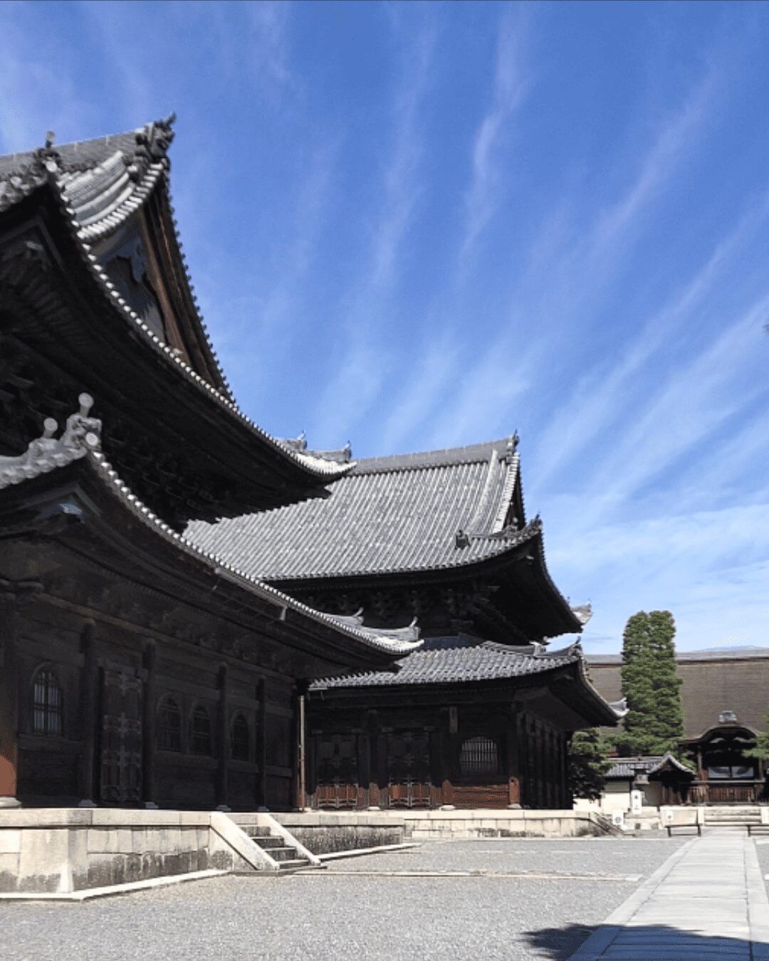 The Ultimate Guide to Kinkakuji Temple: A Complete Guide to Highlights ...