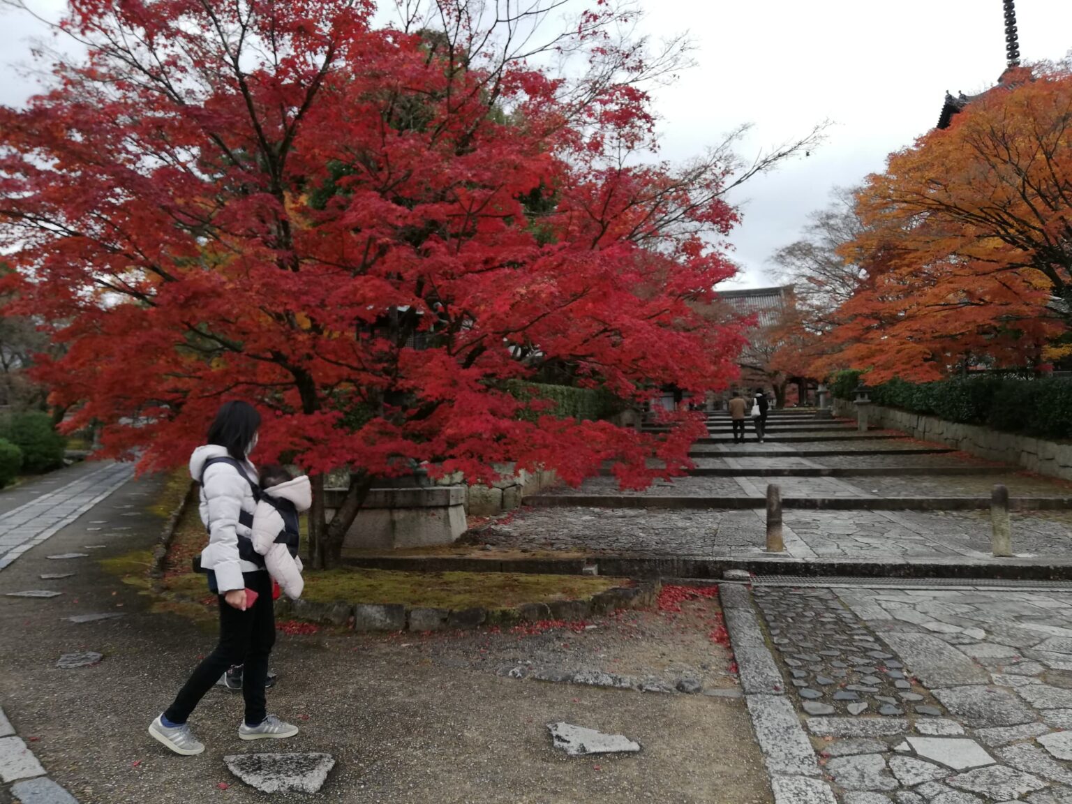 The Ultimate Guide to Daitokuji Temple : A Complete Guide to Highlights ...